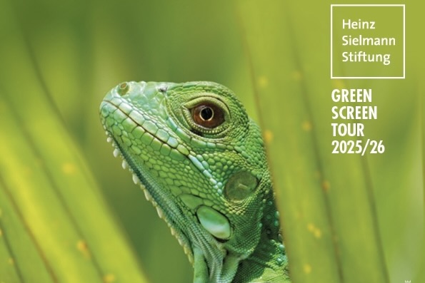 Green Screen & Kolosseum zu Lübeck